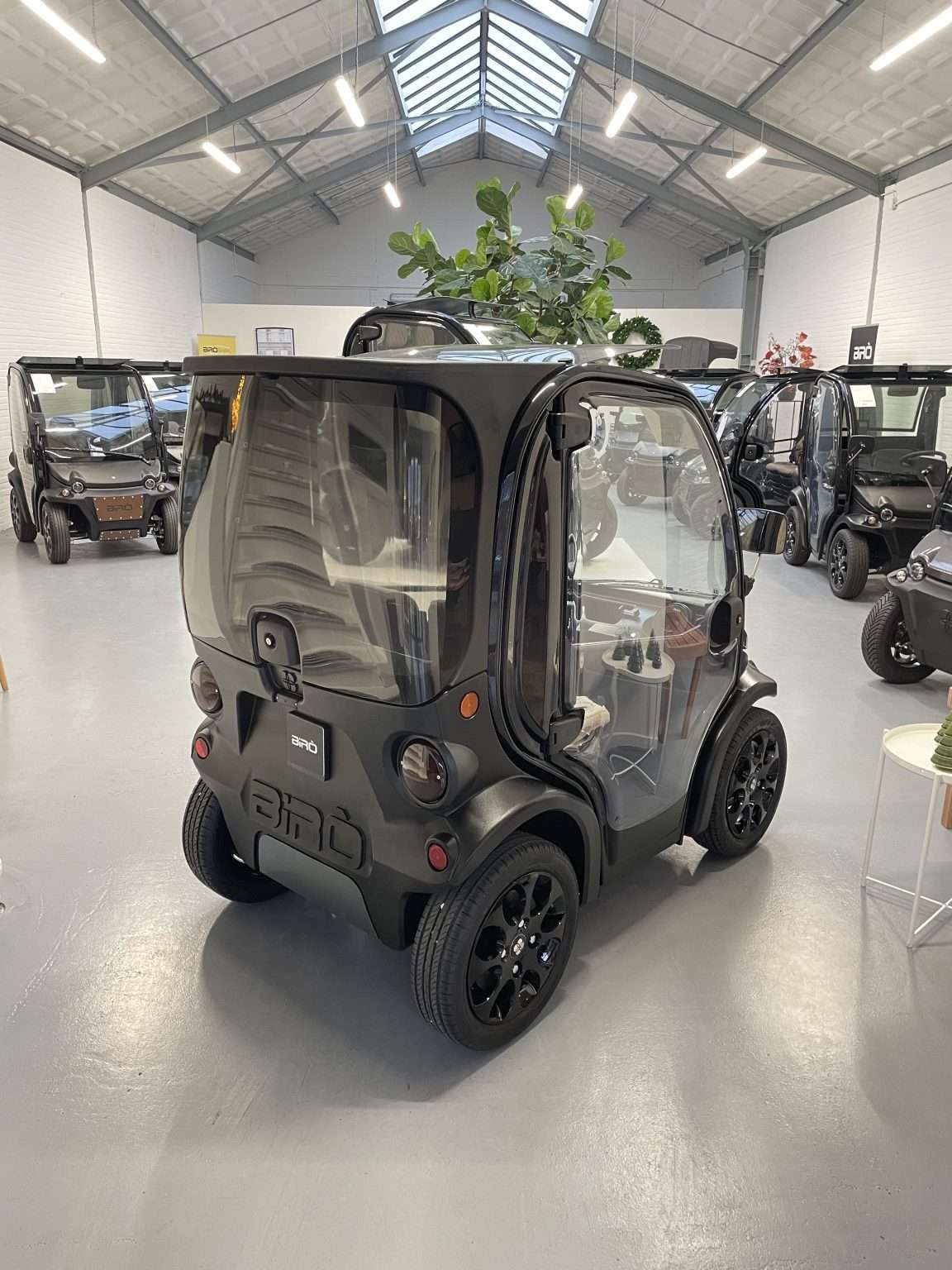 Summer Deals - Birò